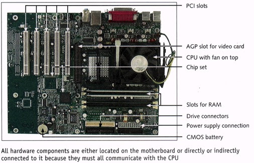 Connecting SFCian's O.R.A.C.L.E Community: The Motherboard